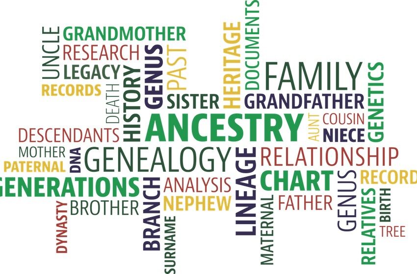 How To Make A Genealogical Tree On Your Own And For Free Gen Home